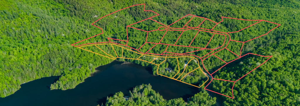 Lots | Poisson Blanc